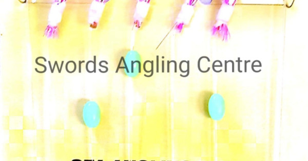 Shamrock Shirley Bull Rig